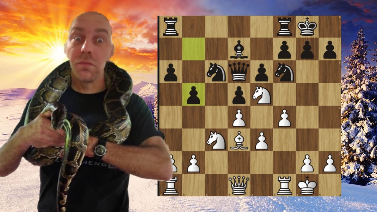 The Boa Style In Chess