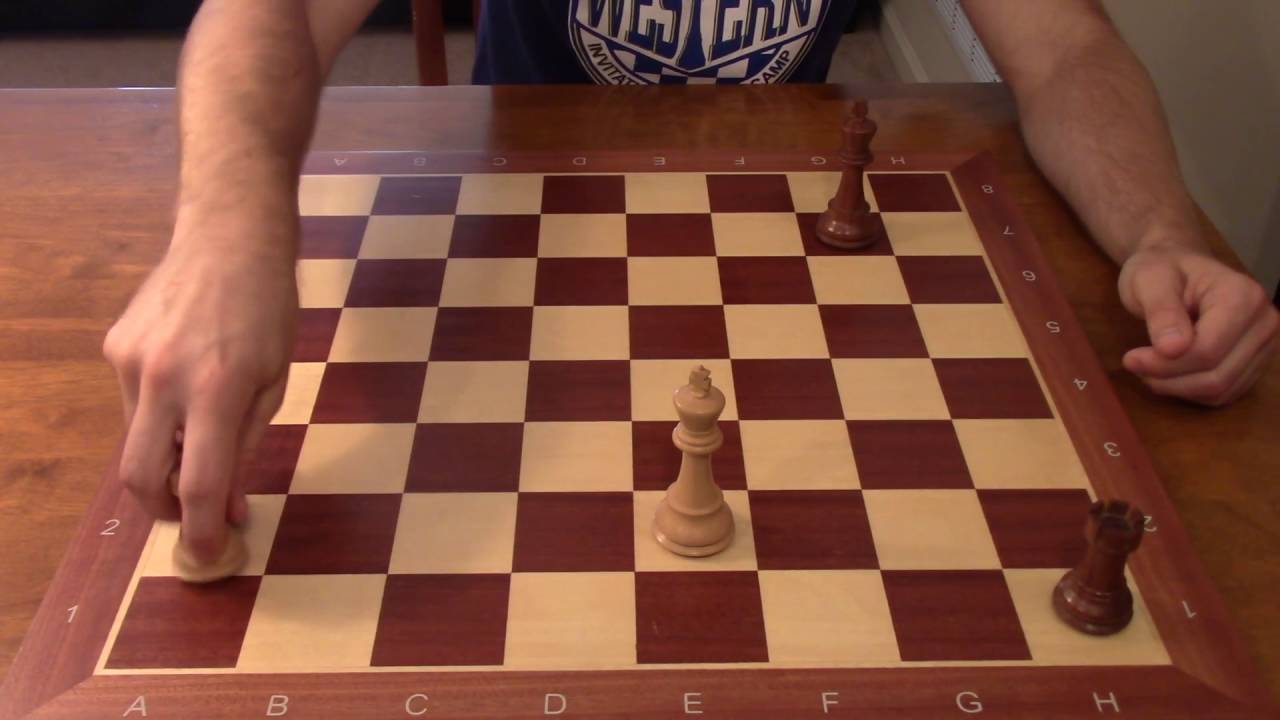 Chess Endgame Fundamentals: Safe Squares