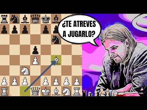 Aperturas de Ajedrez | Sistema Rapport-Jobava