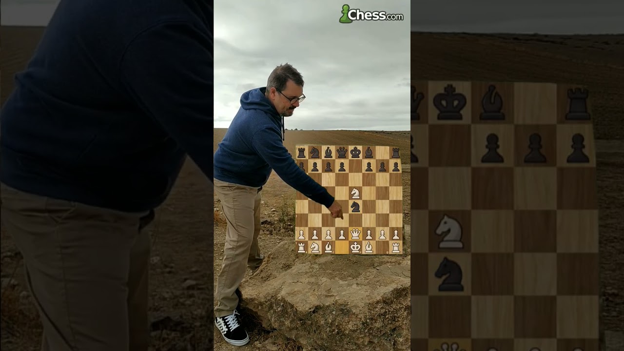 Gana la DAMA enemiga en 5 jugadas ⭐ Defensa Petrov