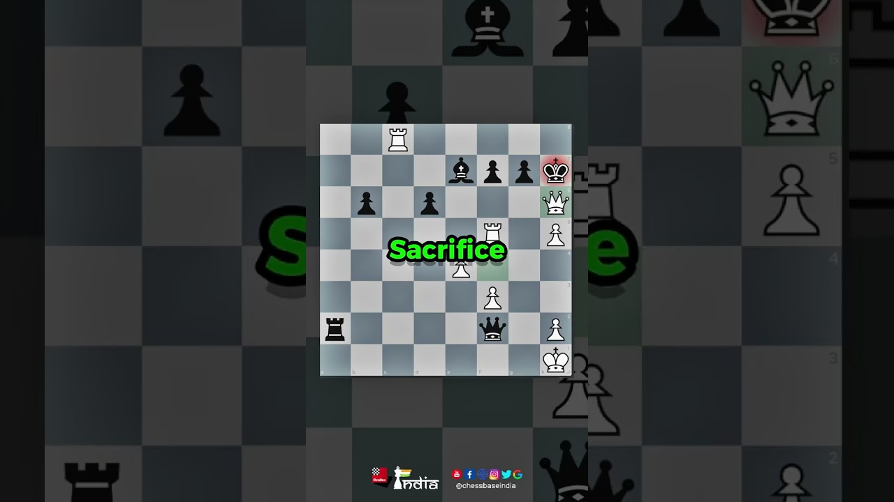 ChatGPT beats Magnus Carlsen? #shorts - Chess Chest