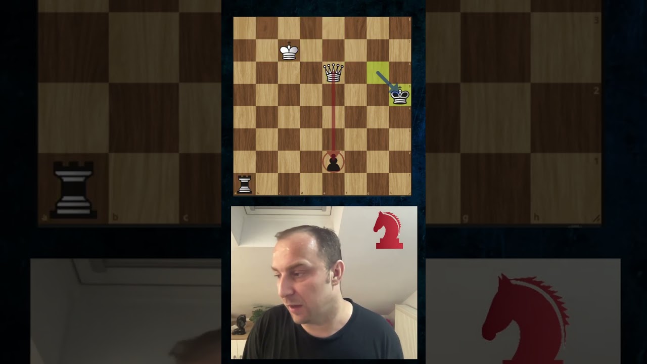 The Most Epic Rook and Pawn Chess Endgame #shorts