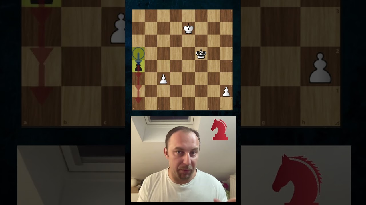 White MOVES and makes a DRAW!? Amazing King and Pawn Chess Endgame Study
