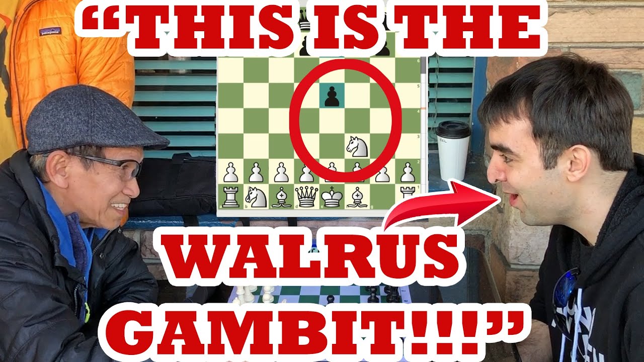 IM Eric Rosen’s Walrus Gambit Surprises Filipino Master! IM Eric Rosen ...