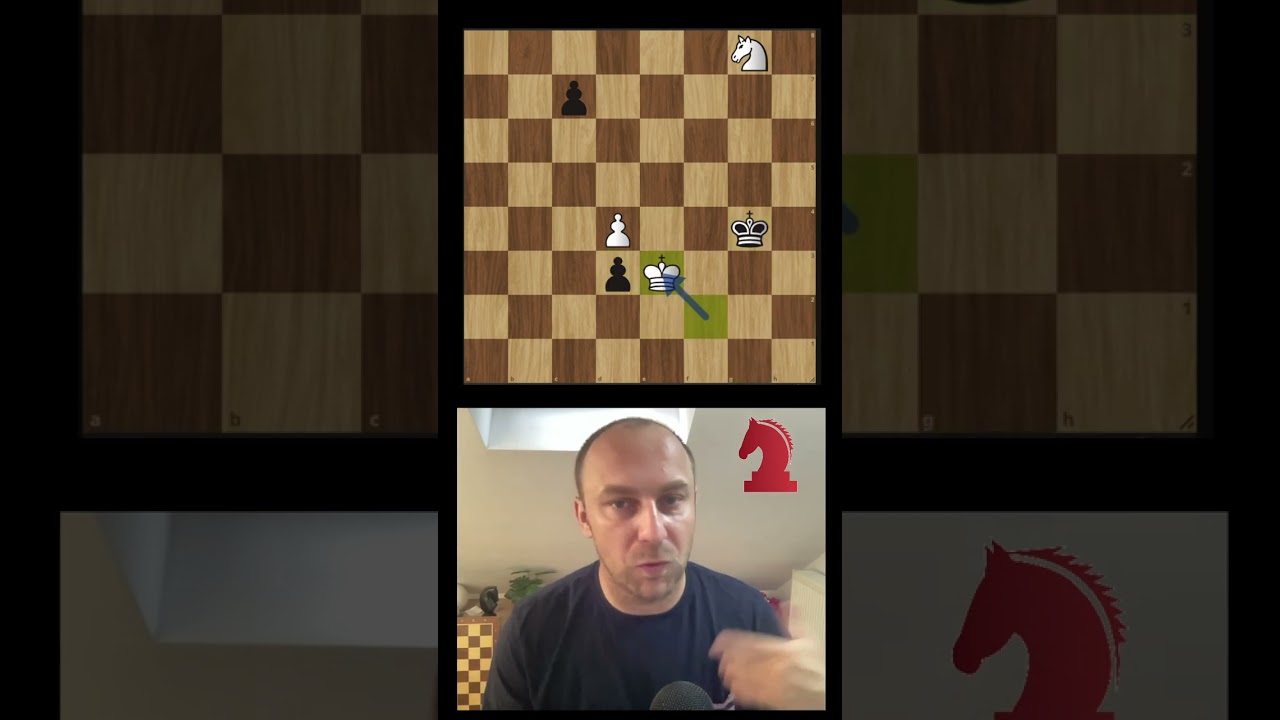 Amazing Chess Endgame PUZZLE! Can White win this ENDGAME?