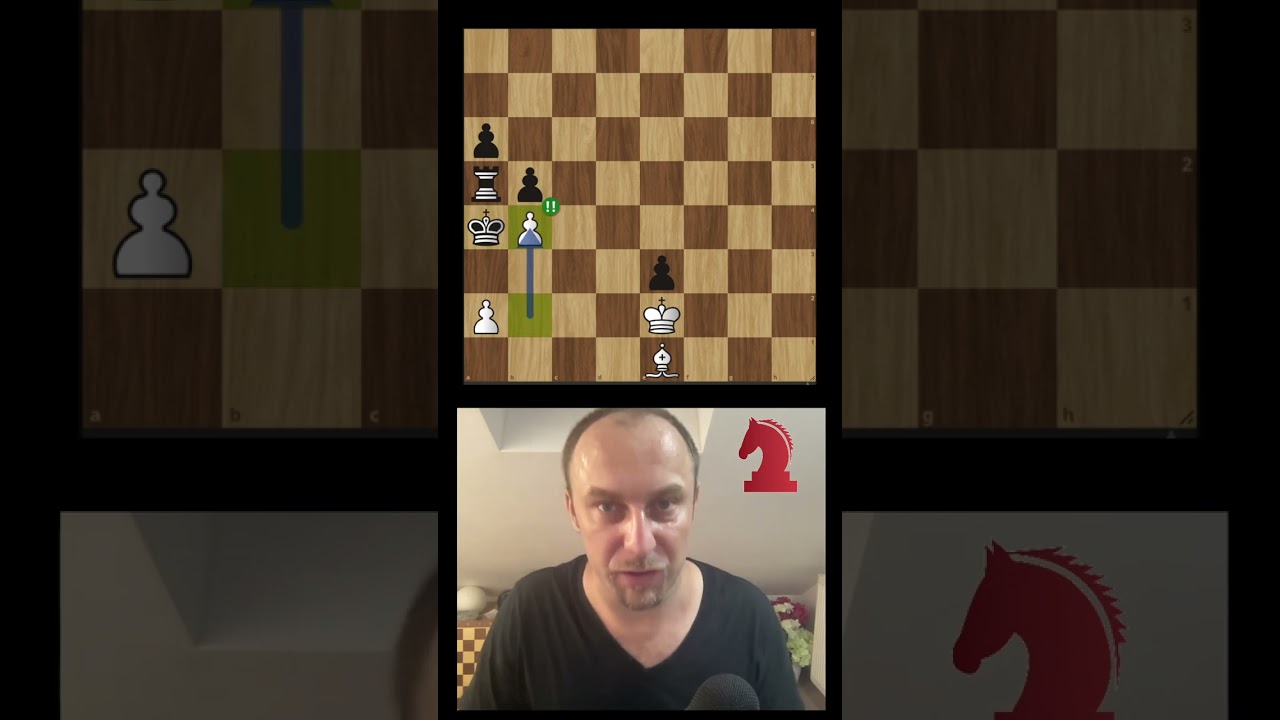 Stunning Bishop vs Rook Endgame