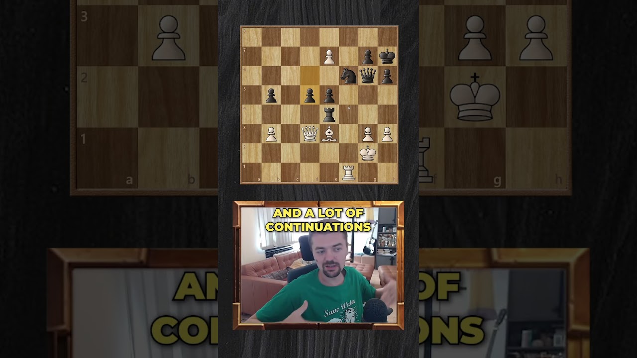 Bether Than The Original || Harmon vs Borgov - Final Game || Netflix’s ...