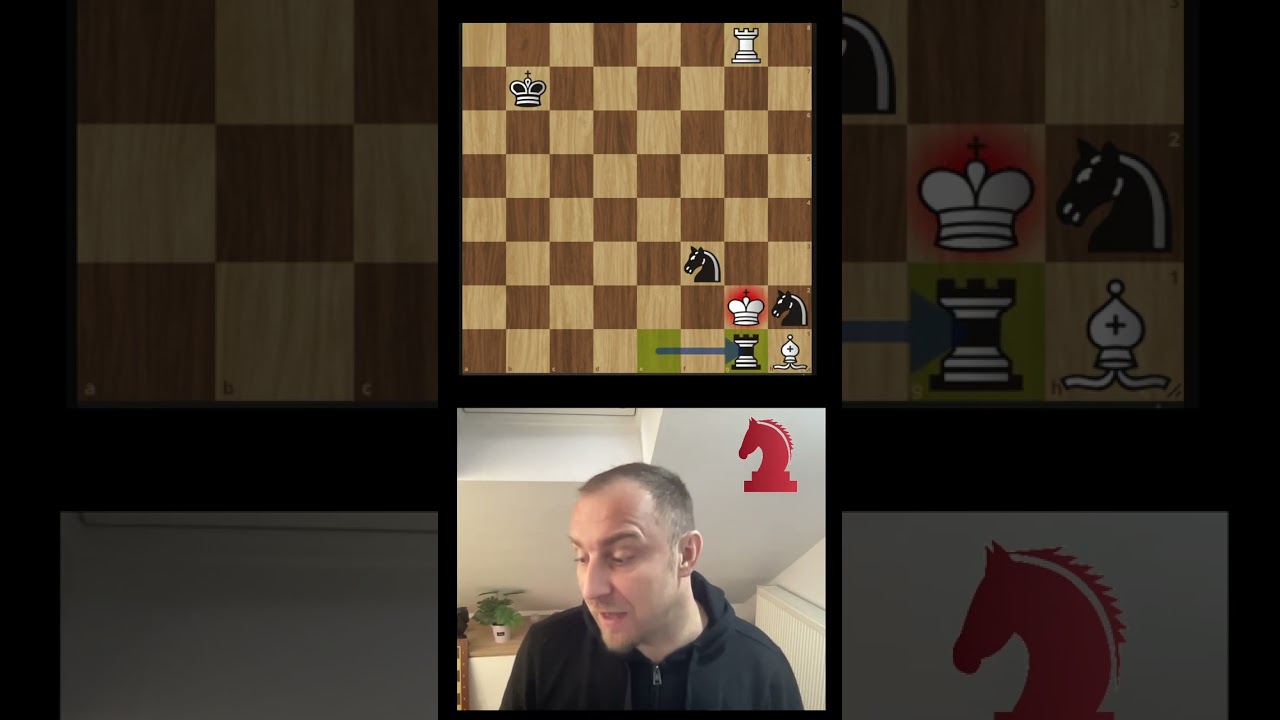 Spectacular Chess Endgame PUZZLE! (Very Hard!!!)