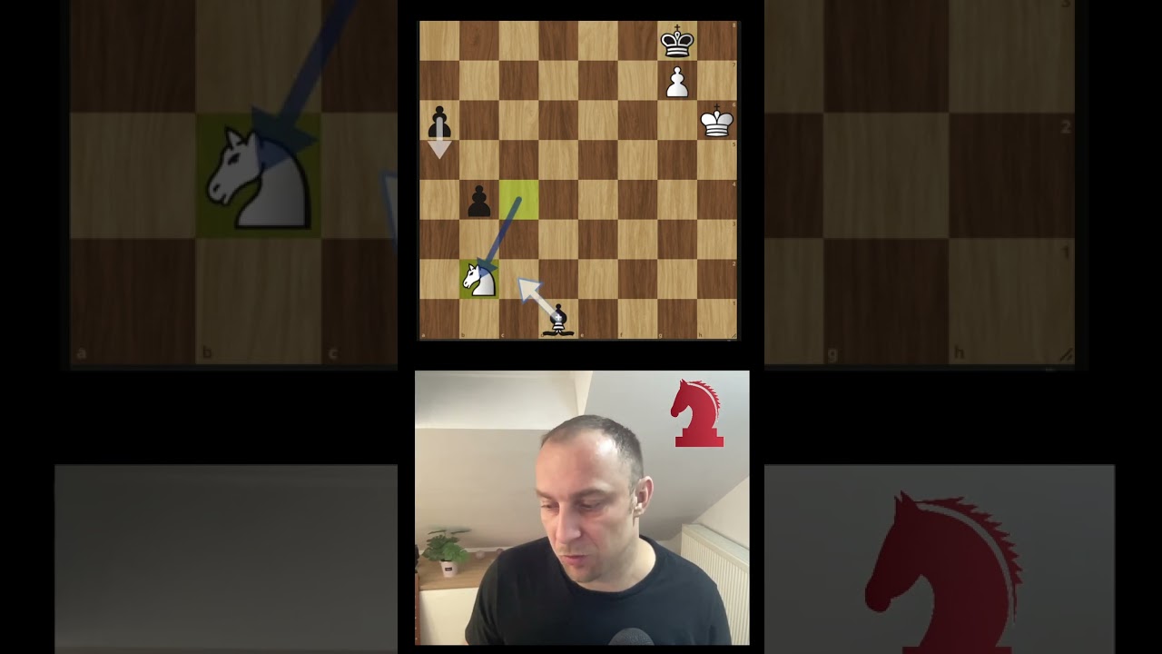 Very Hard Chess Endgame Puzzle! White moves and makes a DRAW!