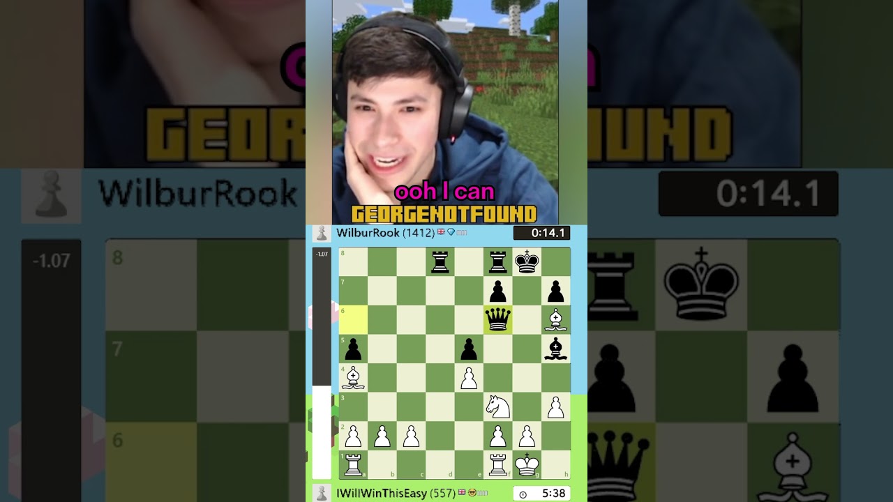 Average Minecraft Fan