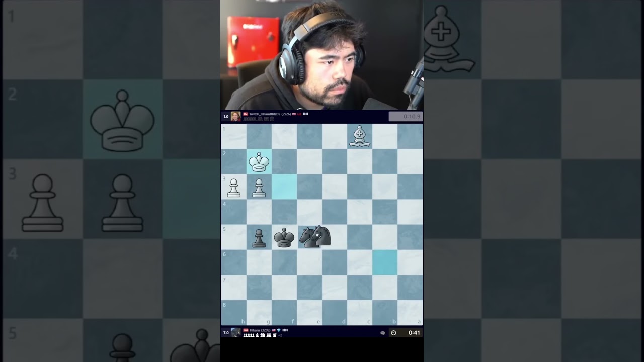 Exquisite Two Knight Checkmate