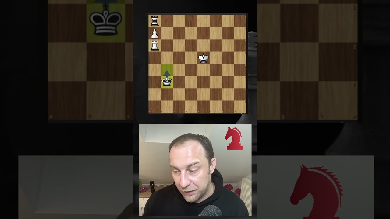 Amazing Chess Endgame Idea