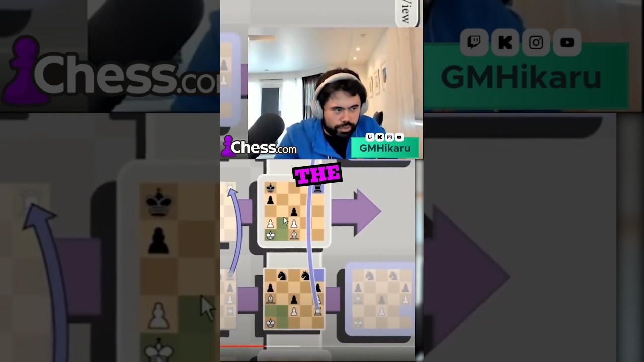 5d Chess Scrambles Hikaru’s Brain